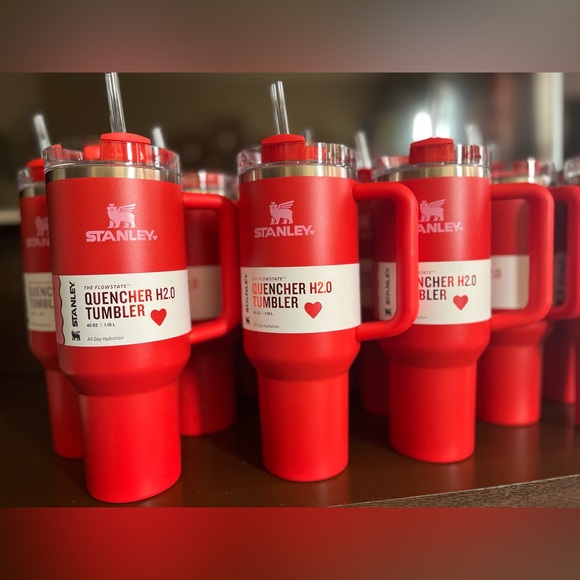 Stanley | Other | Valentines Stanley 4oz Stainless Steel Flowstate ...